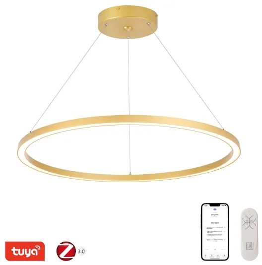 Immax NEO 07159-G80 - LED Stmívatelný lustr FINO LED/60W/230V Tuya zlatá + DO