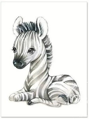 Obraz s motivem malovaná zvířecí mláďata Motiv: TX2032 zebra, Rozměry (cm): 40x60 cm