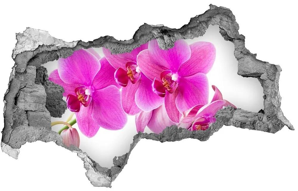 Wallmuralia Samolepící díra nálepka Růžová orchidej 95x73 cm