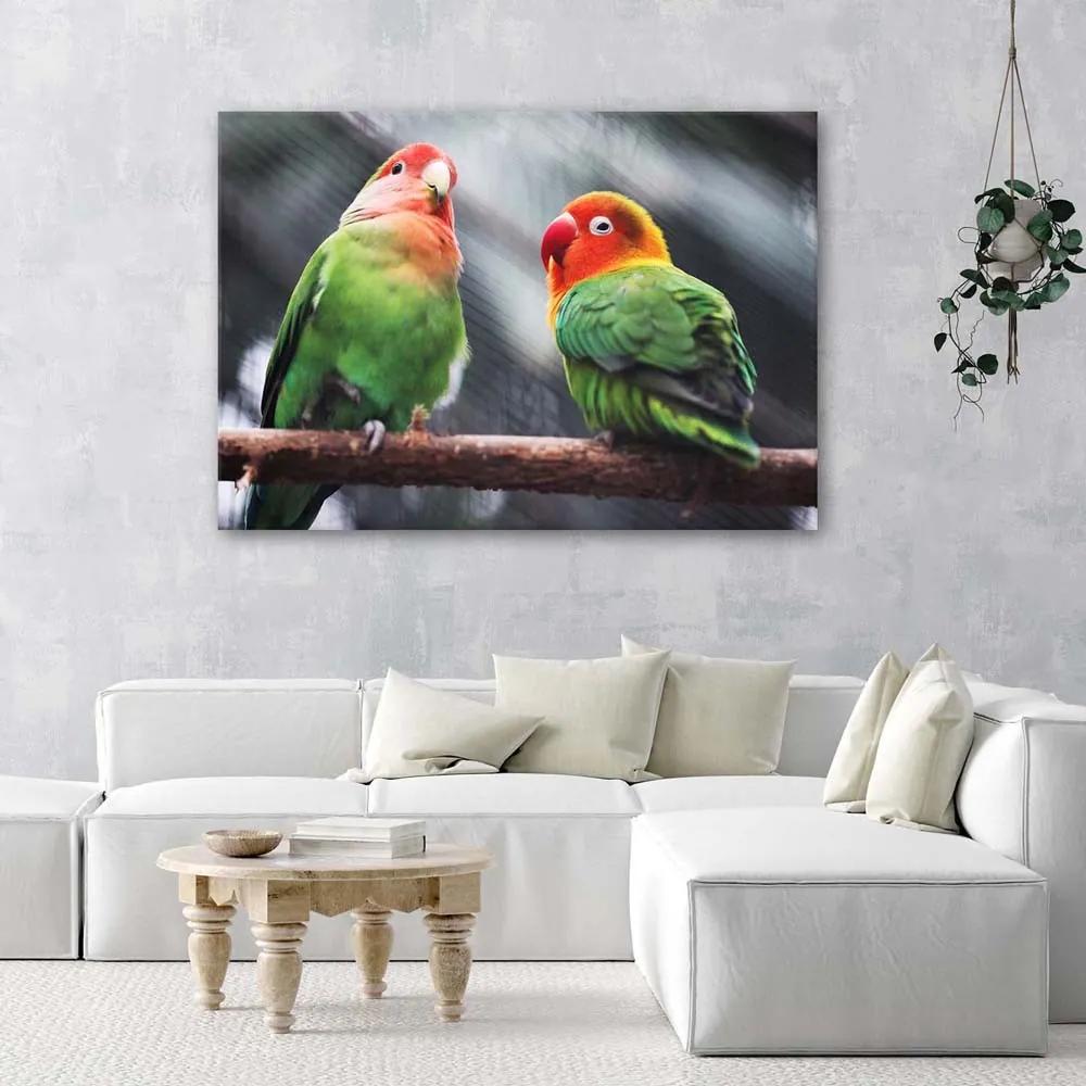 Gario Obraz na plátně Barevní papoušci Rozměry: 60 x 40 cm