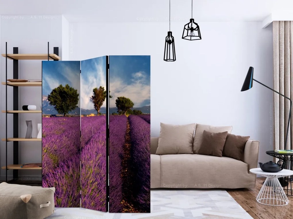 Paraván - Lavender field in Provence, France [Room Dividers]