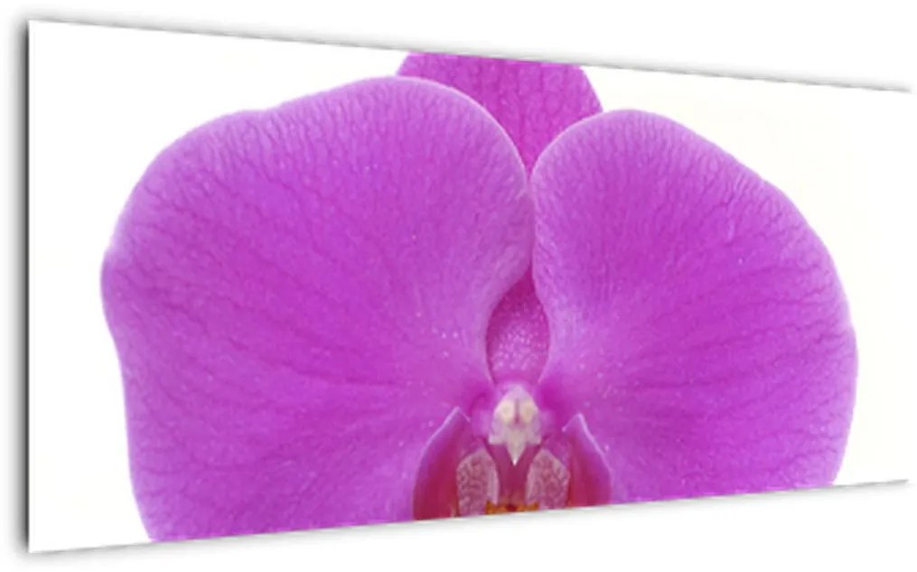 Orchidej - obraz (100x40cm)