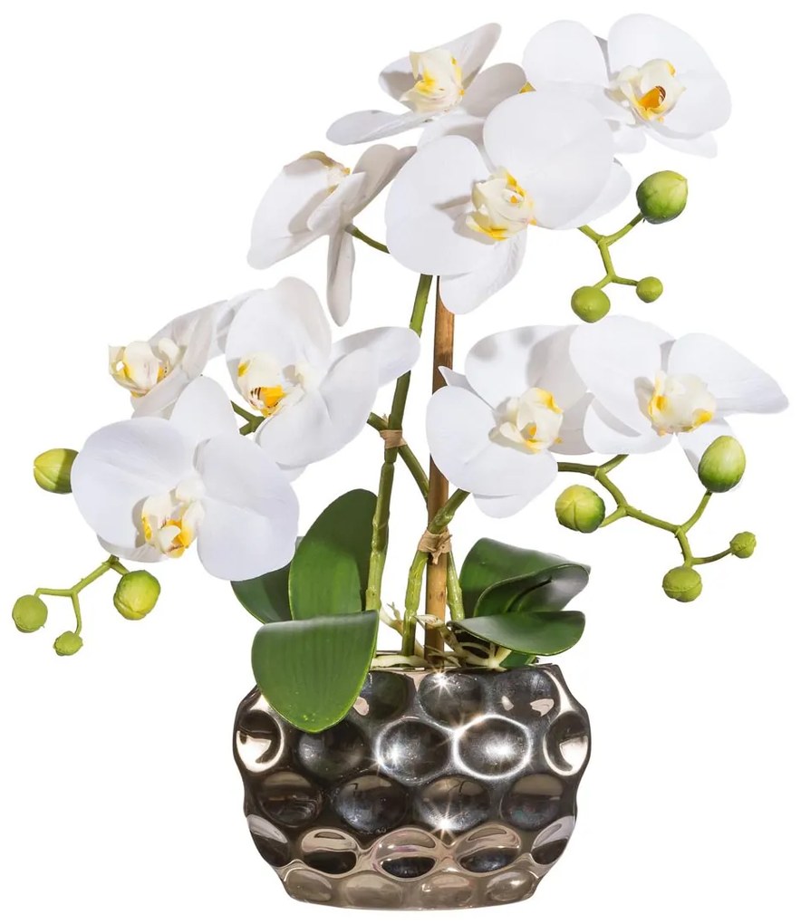 Gasper Orchidej x3, cca 30cm bílá, v oválné váze