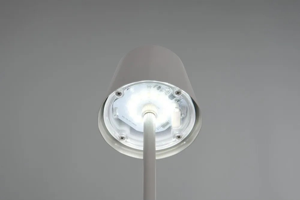 Šedá LED stolní lampa s kovovým stínidlem (výška 21 cm) Diaz – Reality