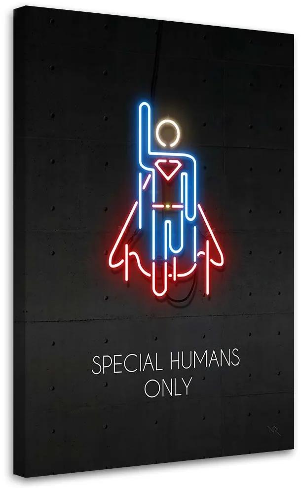 Gario Obraz na plátně Neonový superman - Rubiant Rozměry: 40 x 60 cm