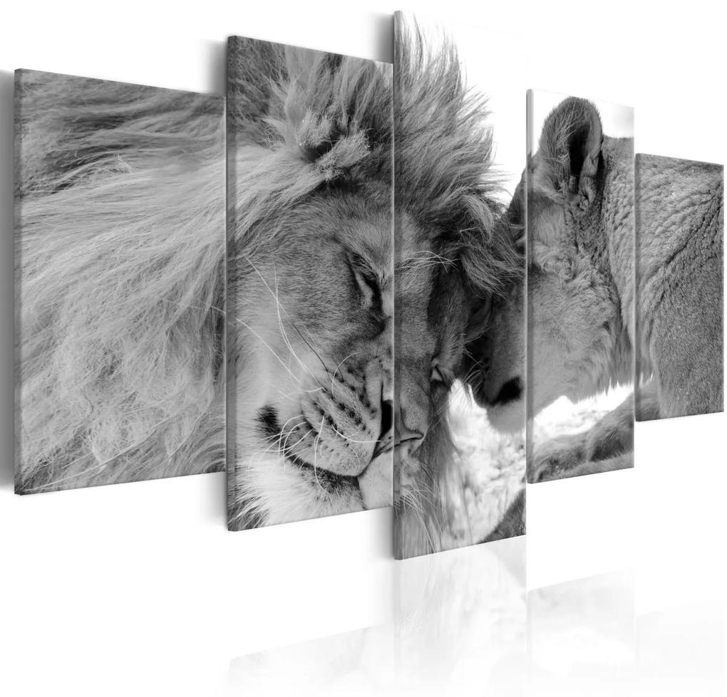 Vícedílný obraz - lvi (200x100 cm) - Murando DeLuxe