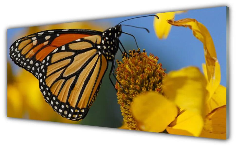 akrylový obraz Motýl Květ Příroda 125x50 cm