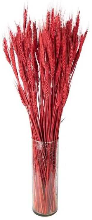 Sušené květy pšeničná tráva červená 80 cm (200 g) – 80 cm