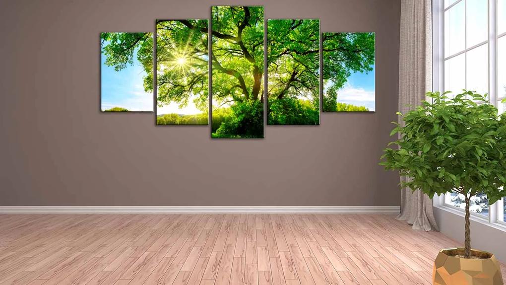 Vícedílný obraz strom Velikost (šířka x výška): 150x75 cm