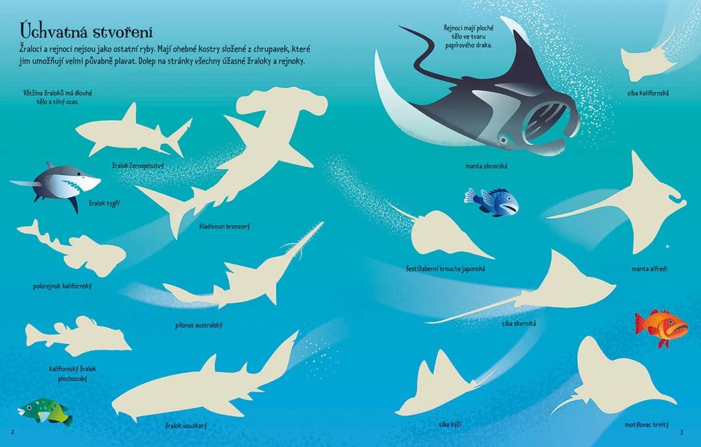 JIRI MODELS Samolepková knížka Žraloci a rejnoci 150 samolepek 2
