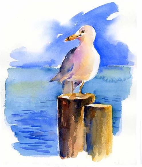 Keeling, John - Obraz, Reprodukce - Seagull on dock, 2014,