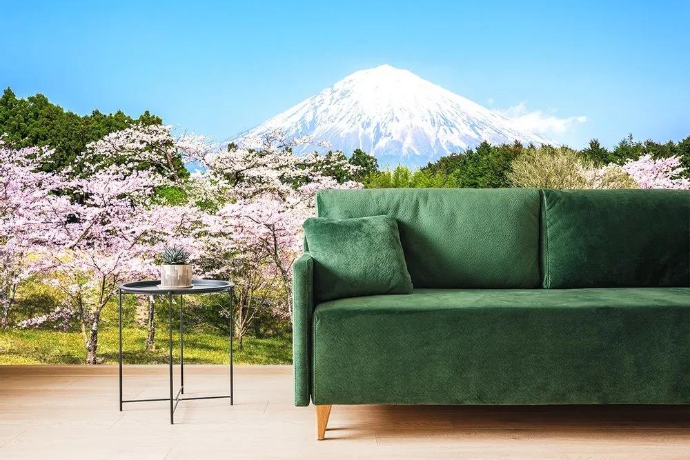 Samolepící fototapeta sopka Fuji - 300x200 cm