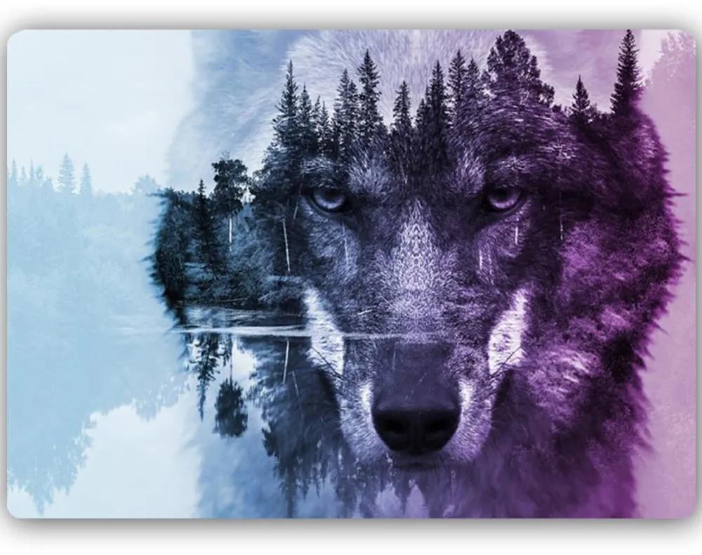 CARO Kovový obraz - Wolf On The Background Of The Forest - Purple 60x40 cm