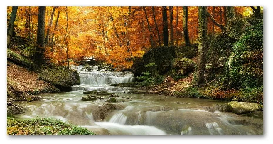 Wallmuralia Foto obraz akrylový Vodopád v lese 120x60 cm