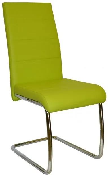 Jídelní židle Y100 zelená