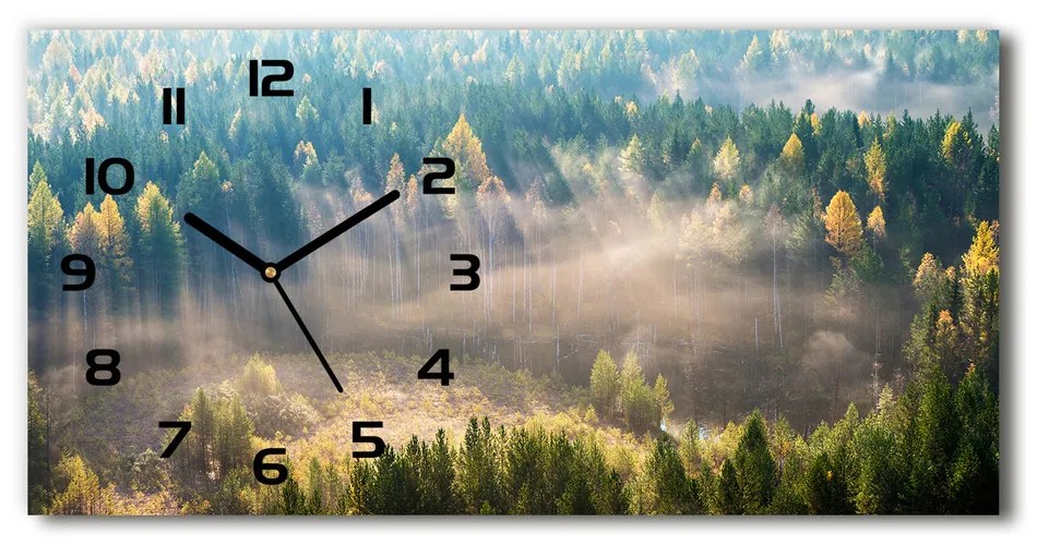 Wallmuralia Skleněné hodiny na stěnu tiché Mlha v lese 60x30 cm