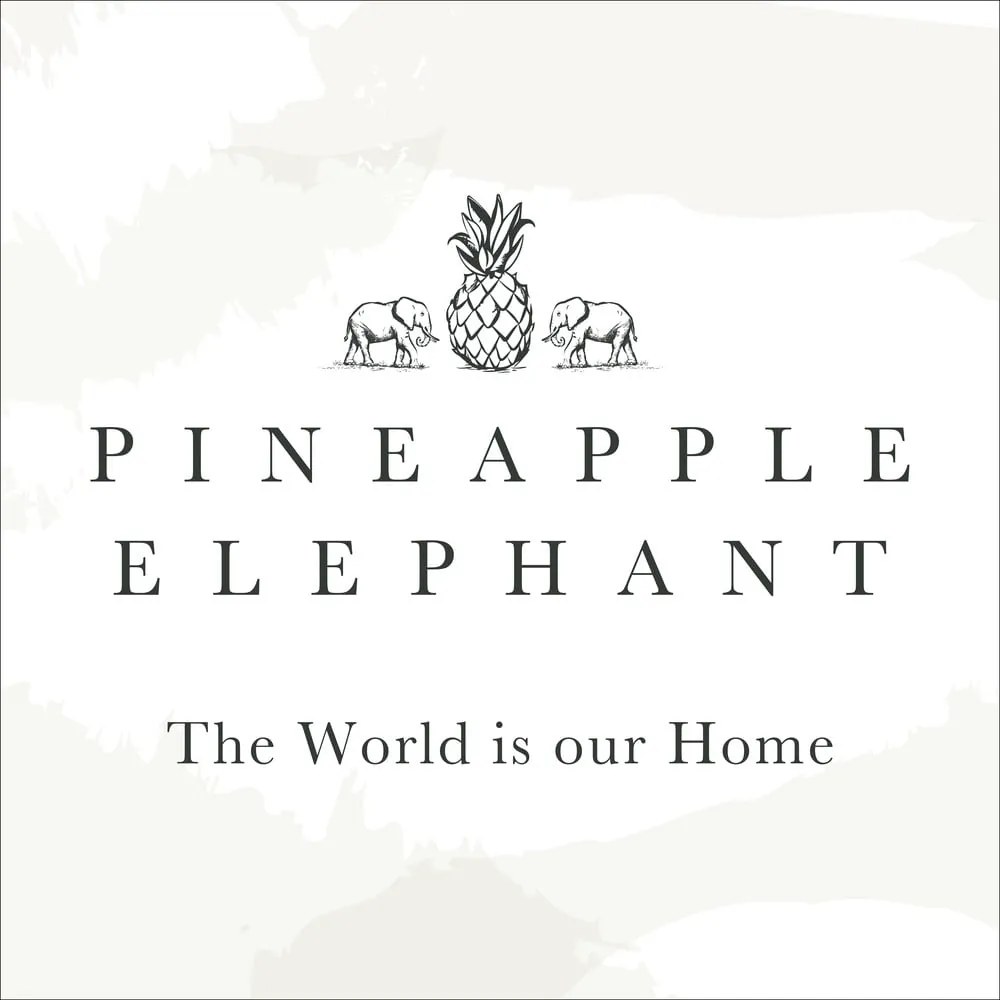 Záclona v terakotové barvě 140x229 cm Zanzibar Stripe – Pineapple Elephant