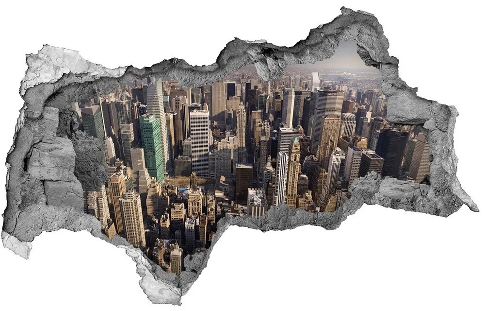 Wallmuralia Fototapeta díra na zeď 3D New York z ptačího pohledu 95x73 cm