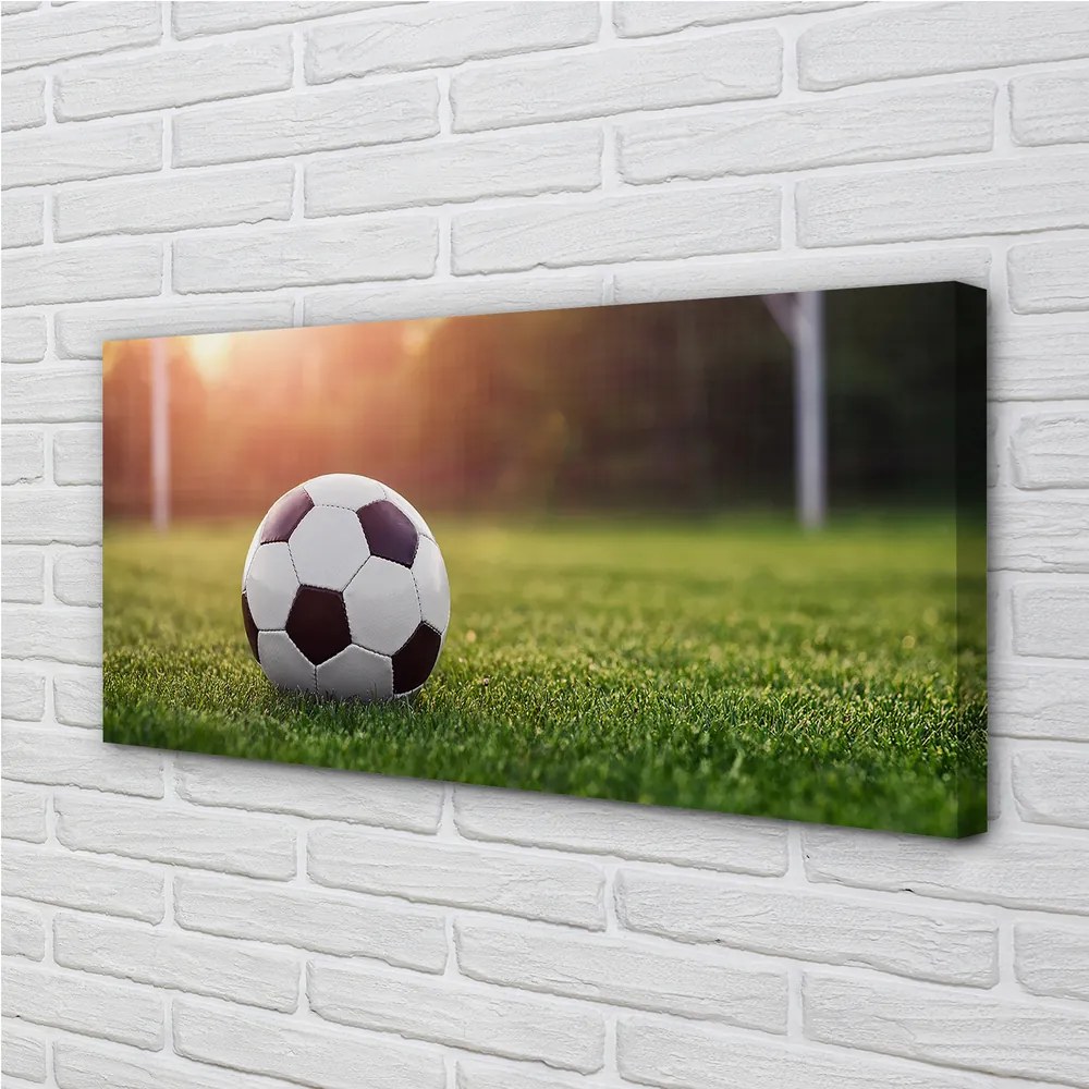 Obrazy na plátně Fotbal tráva gateway 120x60 cm