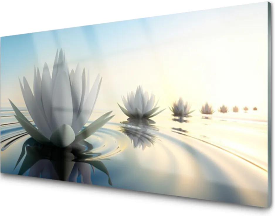 Plexisklo obraz Vodní Lilie Květiny Rybník