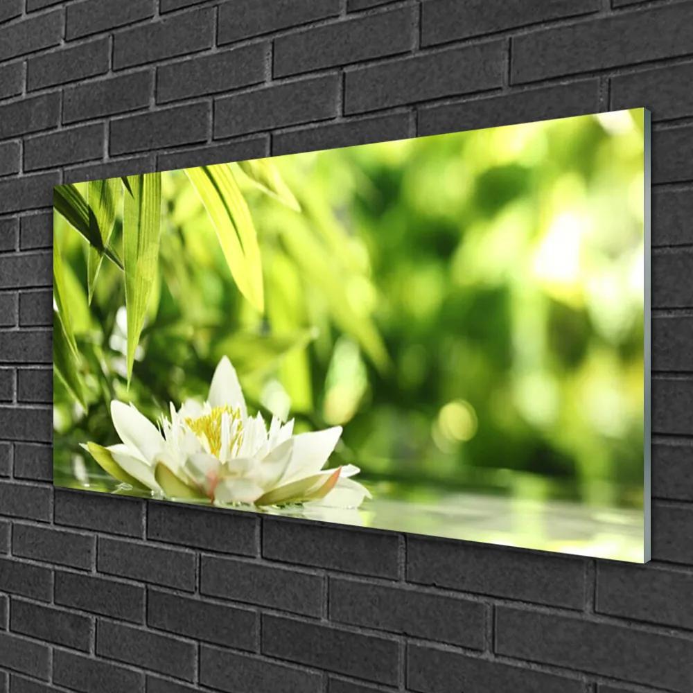 Obraz na skle Květ Listy 140x70 cm