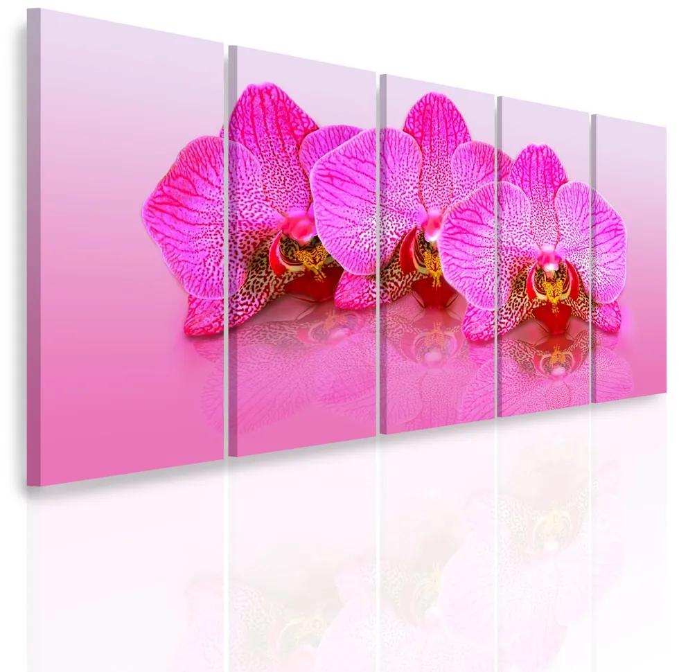 Vícedílný obraz - Růžové orchideje
