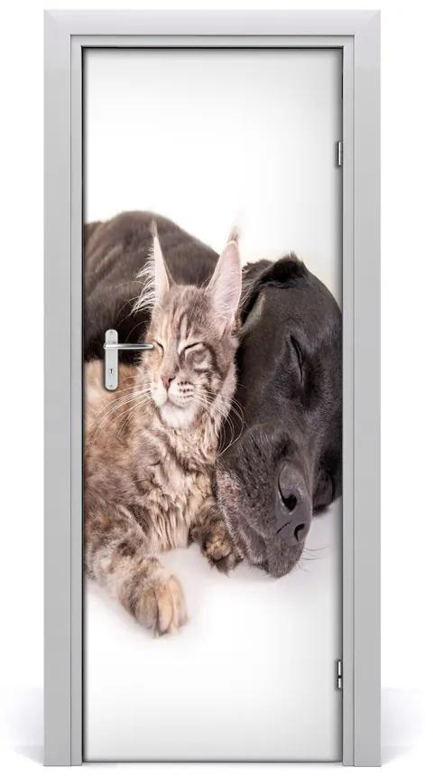 Samolepící fototapeta na dveře Pes a kočka 75x205 cm