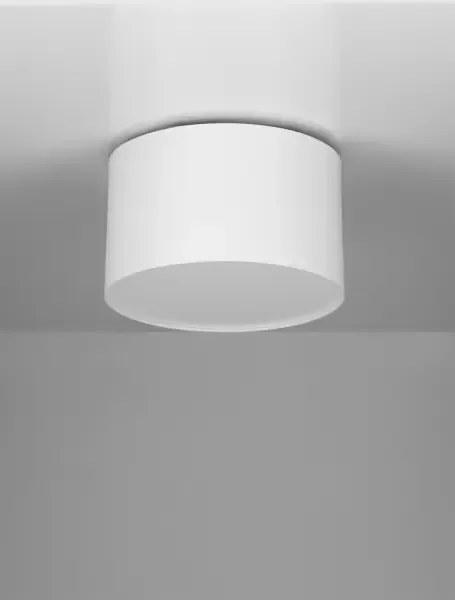 Moderní stropní svítidlo Luldo 11 bílá