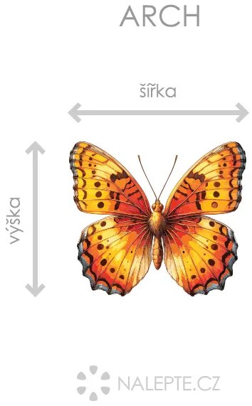 Oranžový motýl textilní přelepitelná samolepka na zeď arch 45 x 39 cm