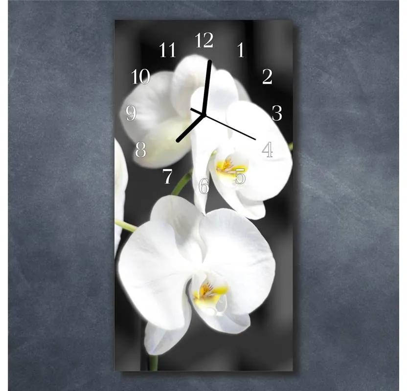 Nástěnné hodiny obrazové na skle - Orchidej bílá