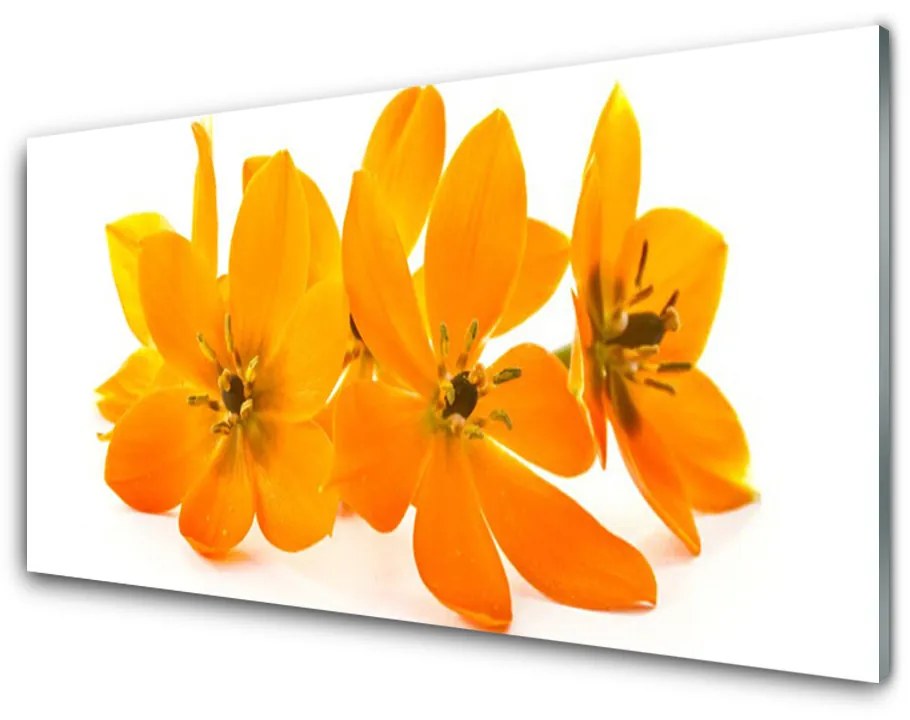 akrylový obraz Oranžové Květiny 140x70 cm
