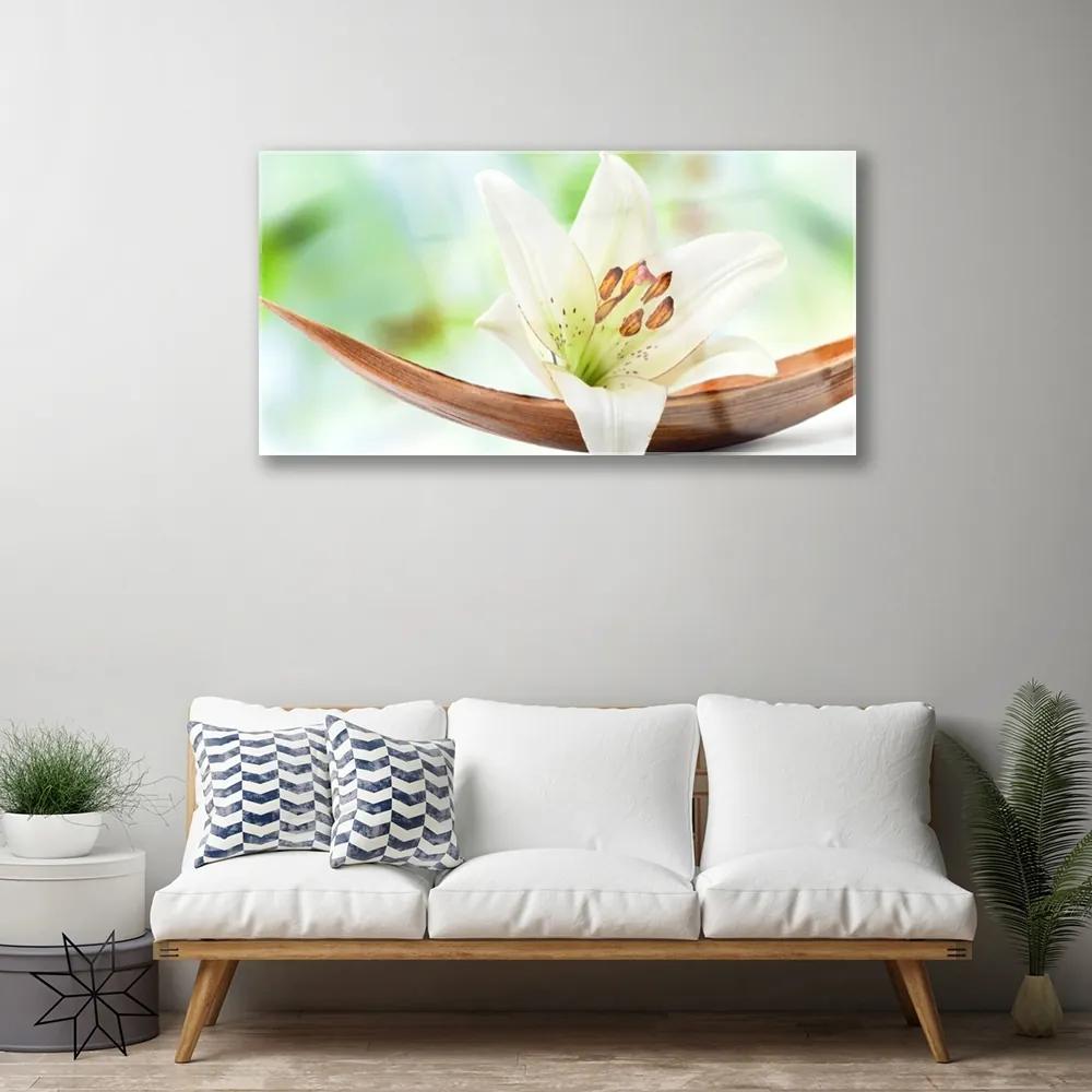 Plexisklo-obraz Květ Rostlina Příroda 100x50 cm