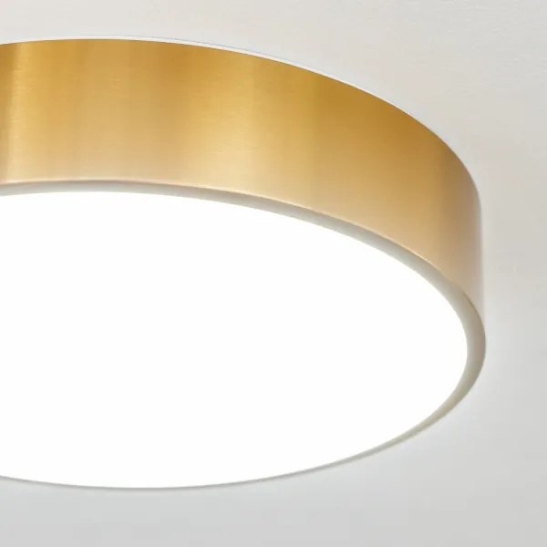 Brilagi - LED Koupelnové stropní svítidlo POOL LED/24W/230V pr. 30 cm IP54 bronz