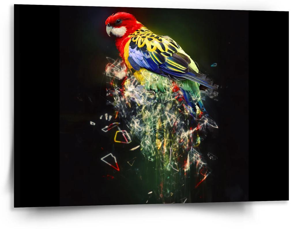 Obraz SABLIO - Barevný papoušek 150x110 cm
