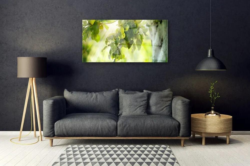 Obraz na skle Jablka Větev Strom Příroda 120x60 cm