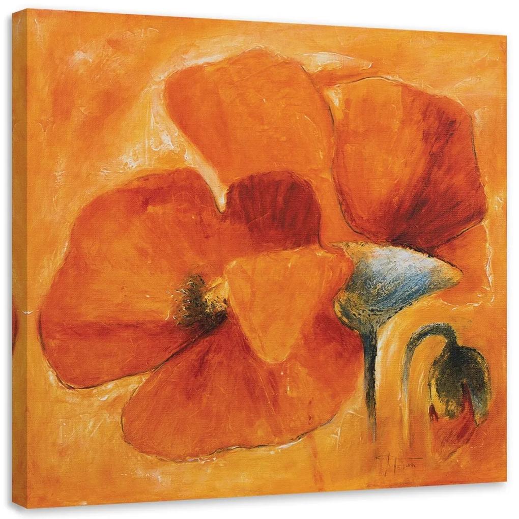 Obraz na plátně Květina Poppy Orange - 30x30 cm