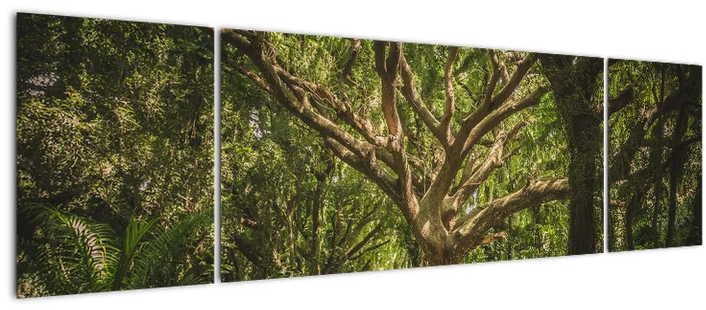 Obraz stromu (170x50 cm)