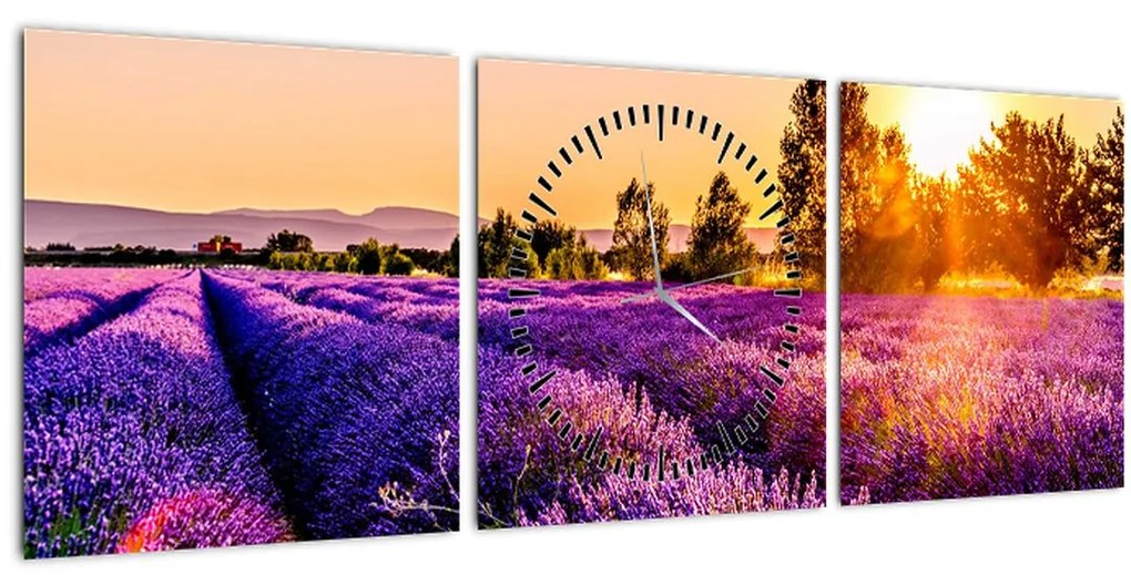 Obraz levandulového pole, Provence (s hodinami) (90x30 cm)