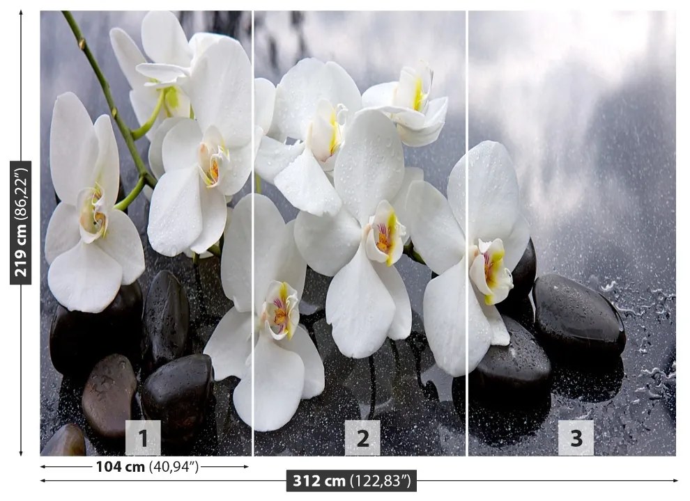 Fototapeta Orchidejové kameny 104x70