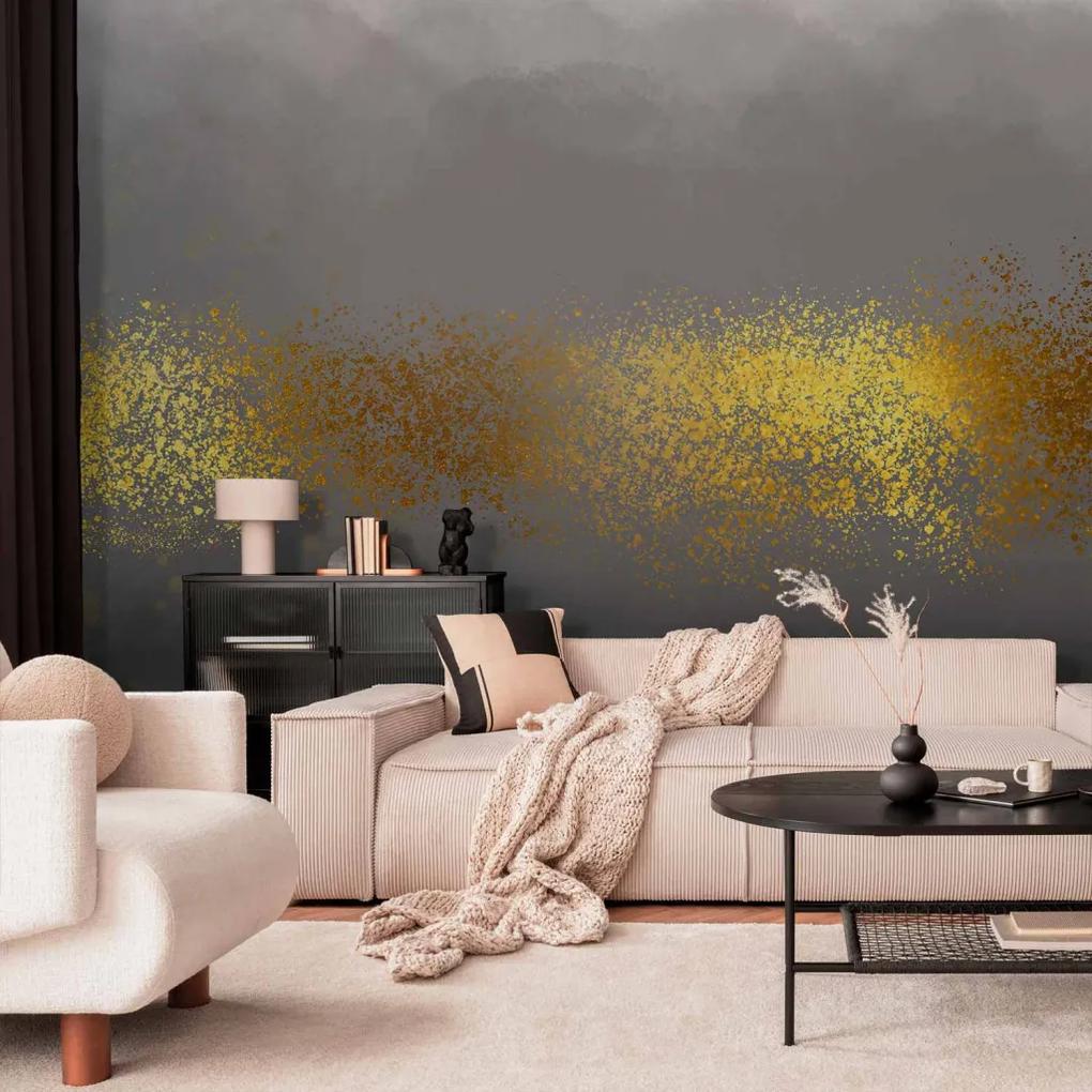 Fototapeta Odstíny šedi - abstrakce se šedým gradientem a zlatým vzorem
