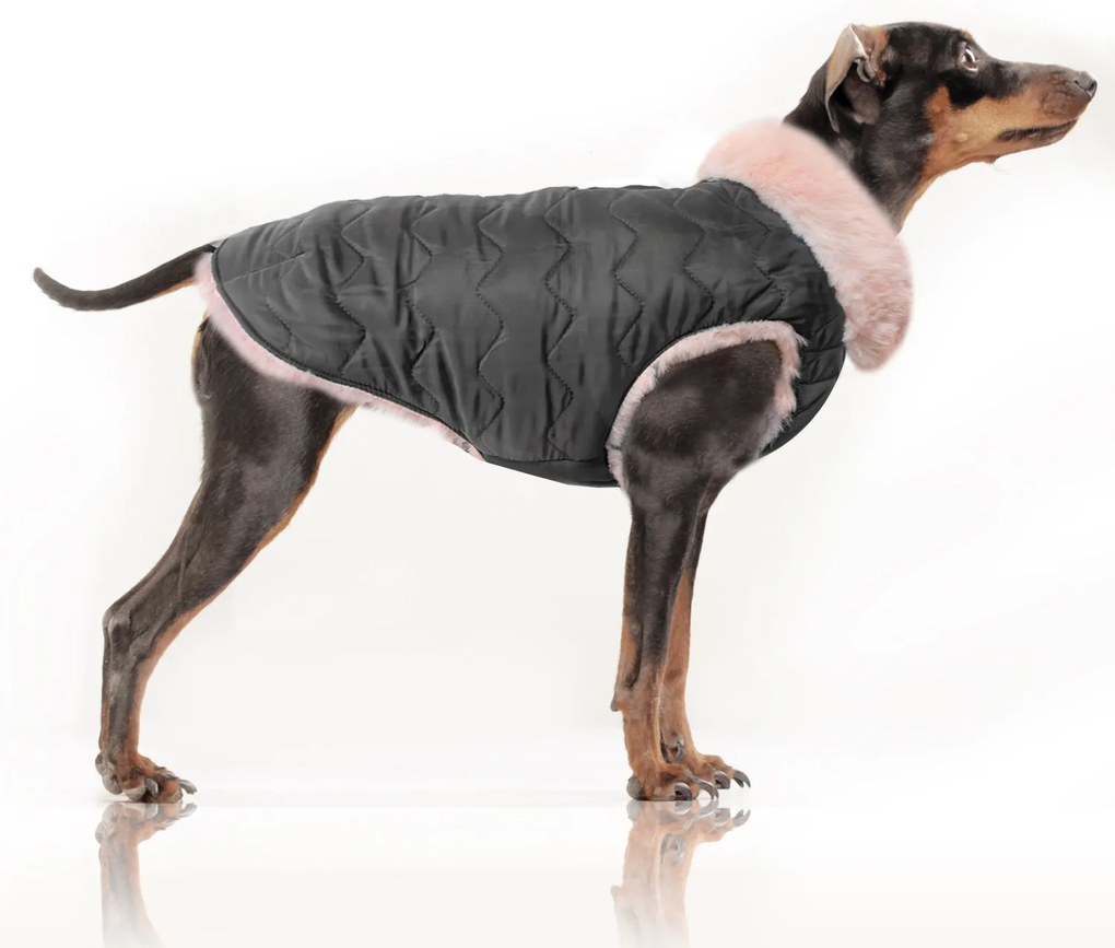 MILK&PEPPER Oboustranný kabát pro psy Louise Velikost: 26