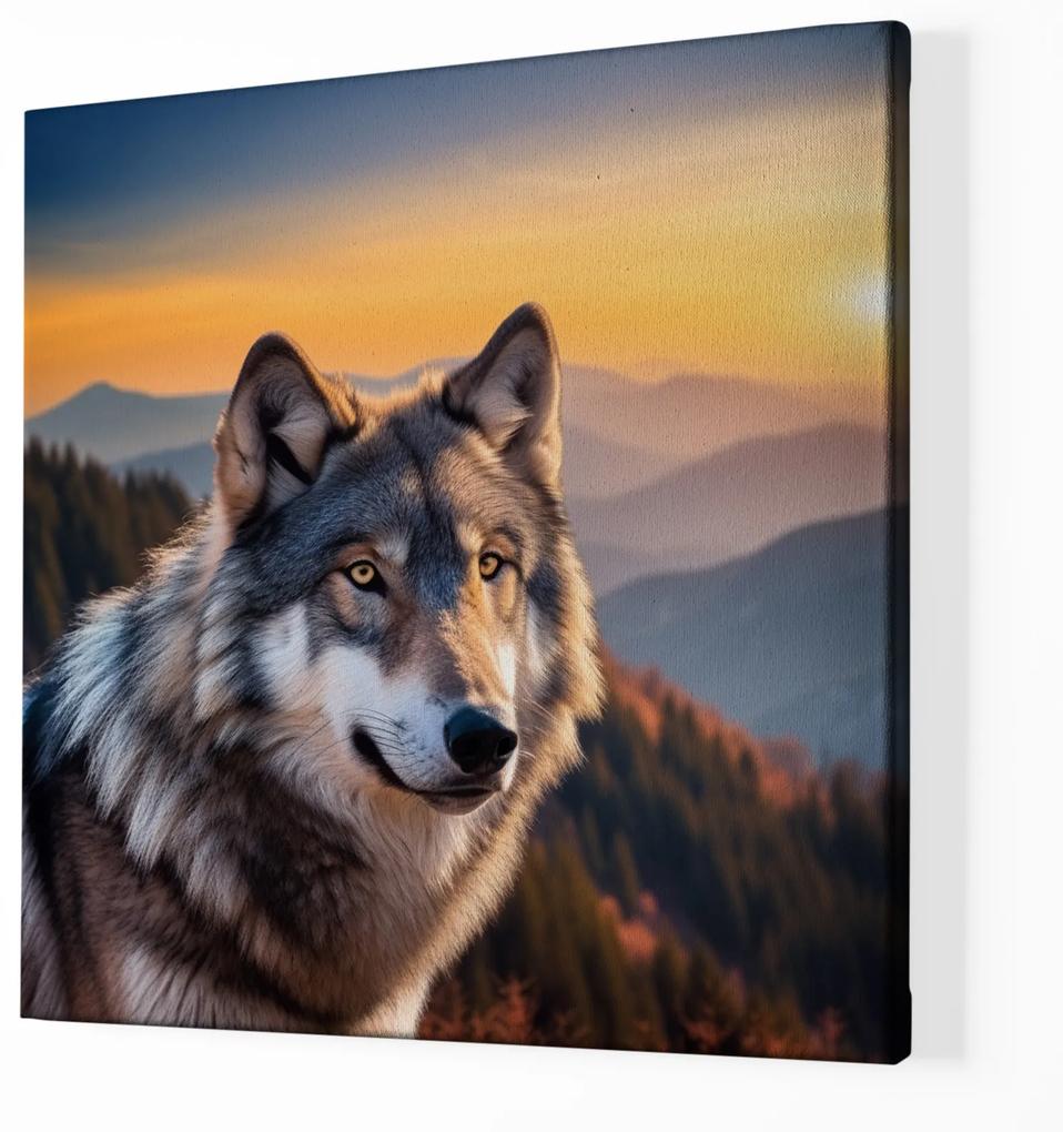 Obraz na plátně - Vlk na kopci přemýšlí, kudy se vydá FeelHappy.cz Velikost obrazu: 120 x 120 cm