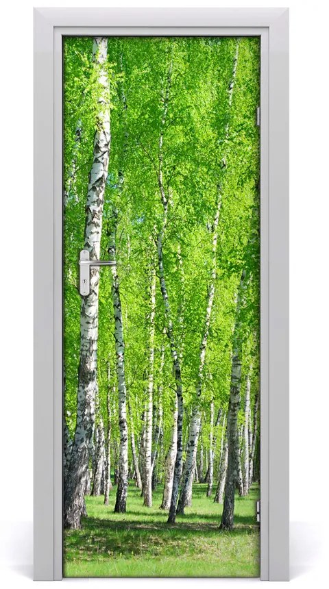 Fototapeta na dveře samolepící břízový les 75x205 cm