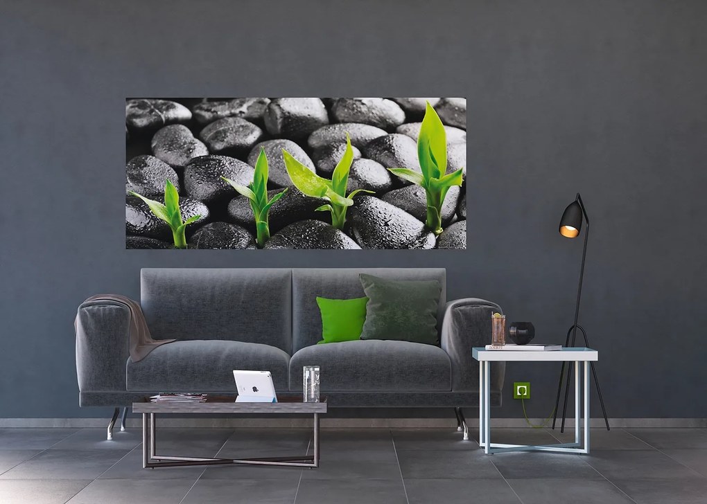 Vliesová fototapeta na zed' Lávové Kamene a Bambus | 202 x 90 cm | DFTNH2719