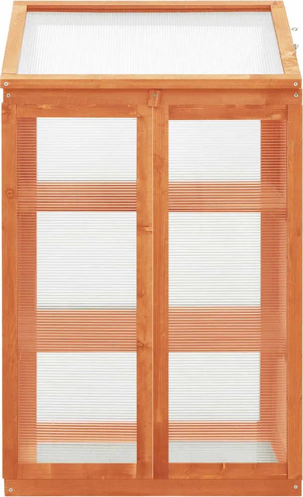 Skleník 60 x 45 x 100 cm jedlové dřevo 314848