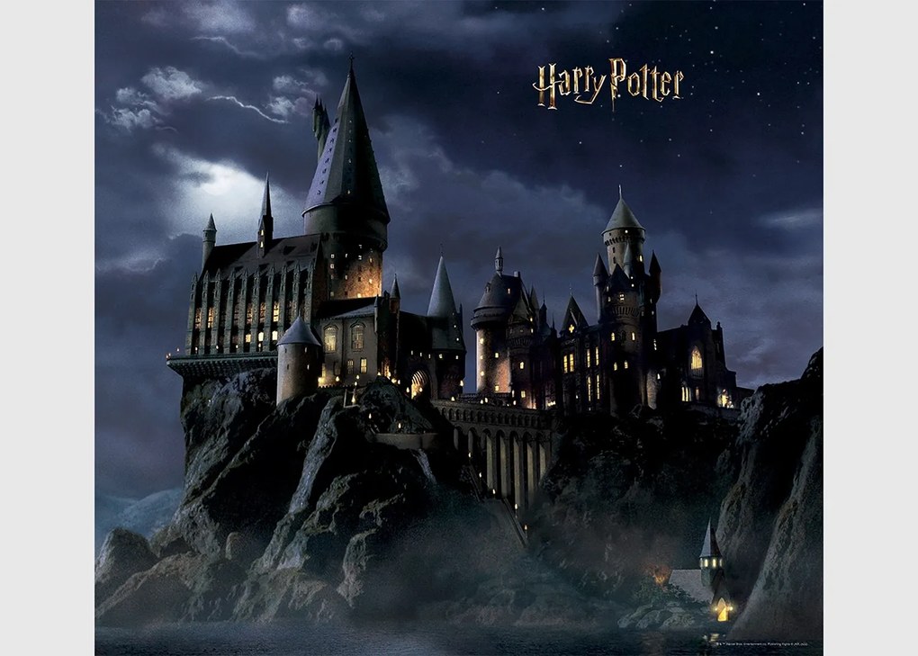 Dětská vliesová fototapeta na zed‘ Harry Potter | 300 x 270 cm | DDTD4P7803