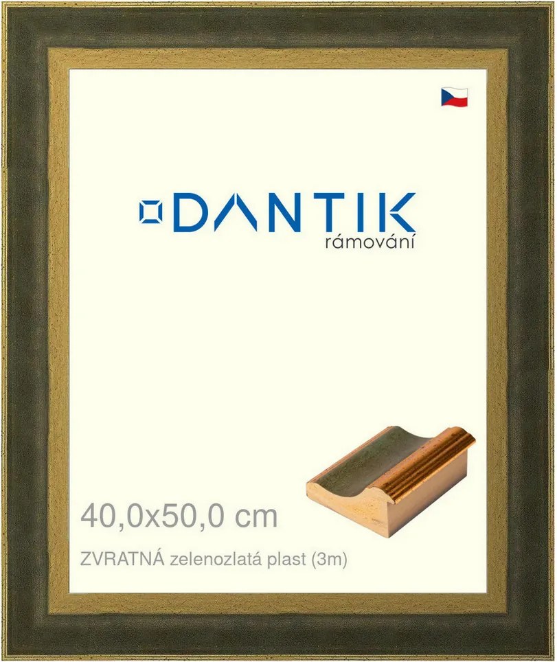 DANTIK rámeček 40x50 | ZVRATNÁ zelenozlatá plast (Sklo Čiré)