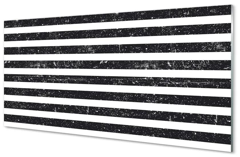akrylový obraz Zebra pruhy skvrny 125x50 cm