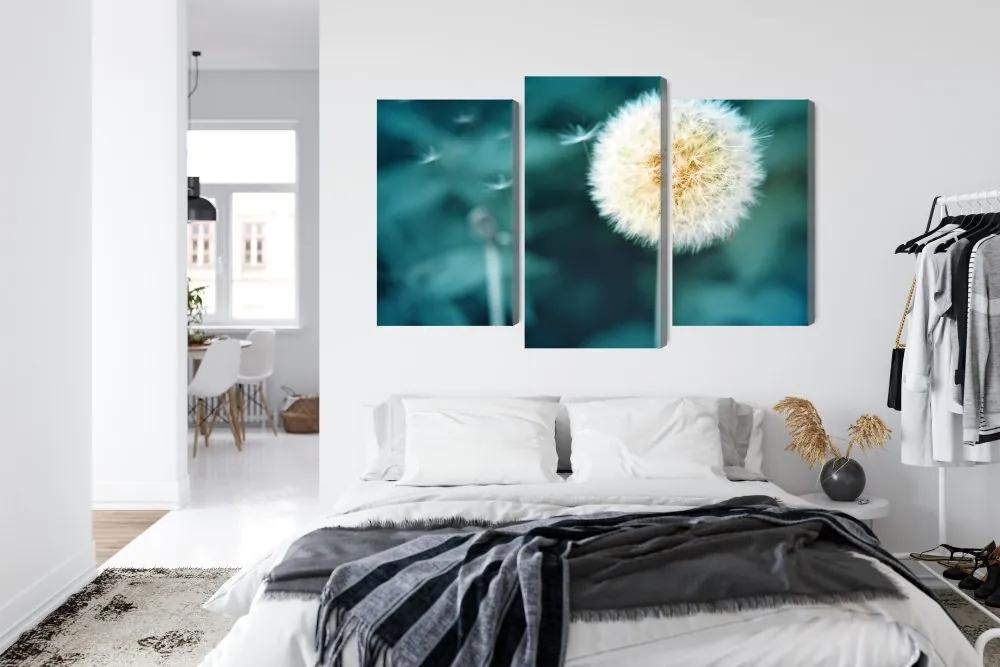 Vícedílný obraz Pampeliška Květ Zblízka 3D Nedostatek Nedostatek Přírodní plátno 180x120