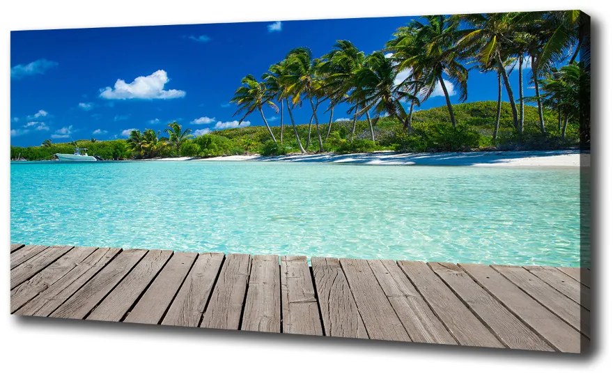 Wallmuralia Foto obraz na plátně Tropická pláž 100x50